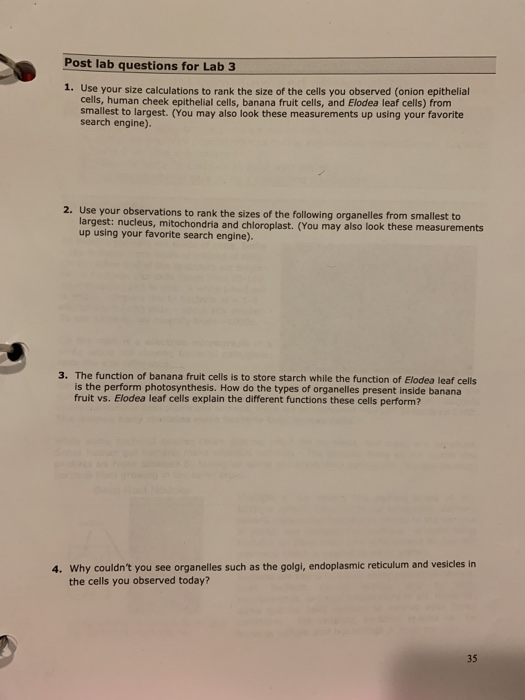 Solved Post lab questions for Lab 3 1. Use your size | Chegg.com