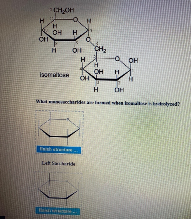 Solved 12 CH OH O H ko OVI O_CH20- I O H H TO OH OH | Chegg.com