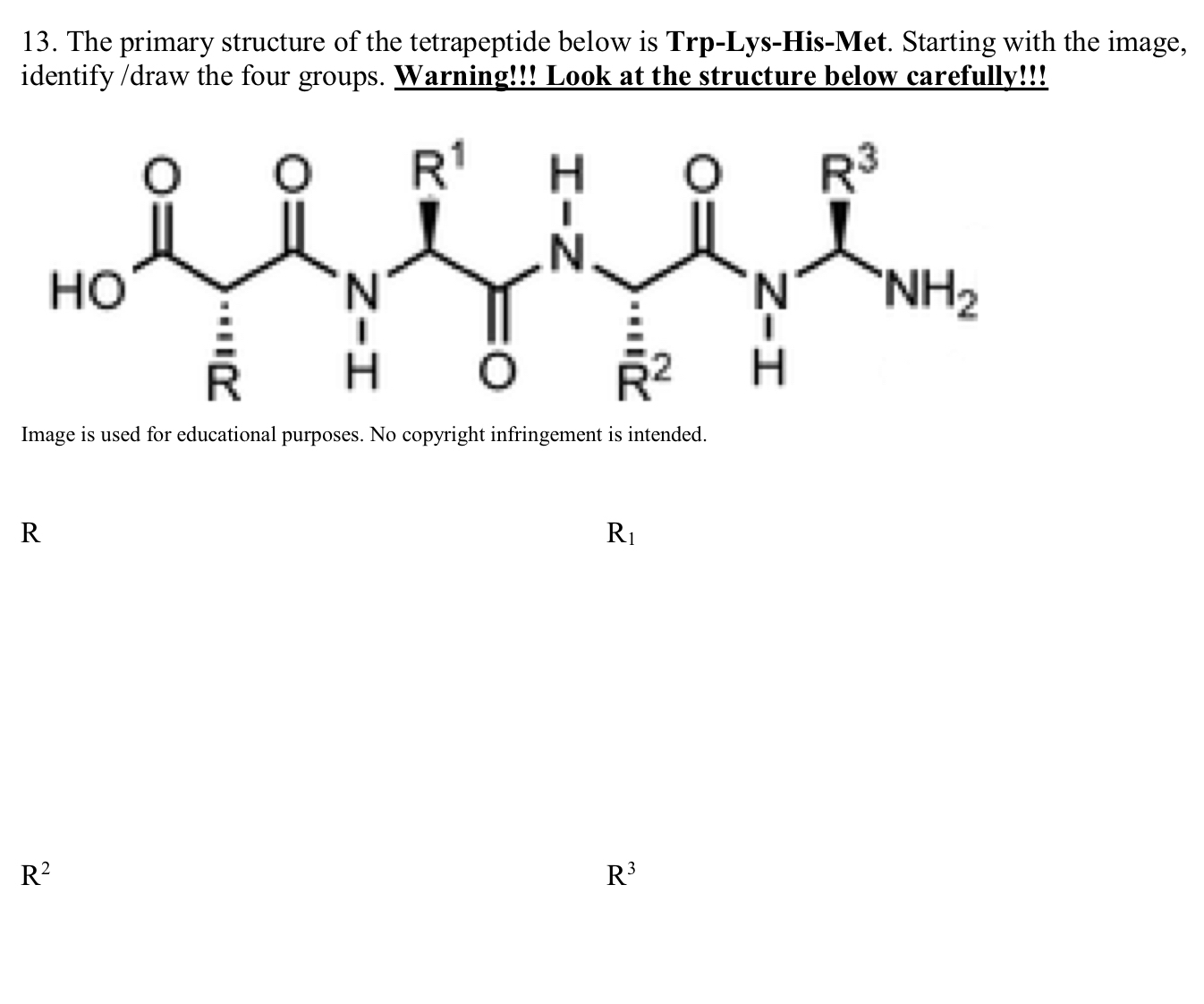 Solved The primary structure of the tetrapeptide below is | Chegg.com
