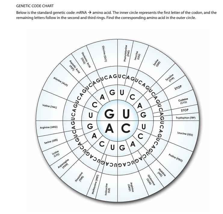 Solved GENETIC CODE CHARTBelow is the standard genetic code: | Chegg.com