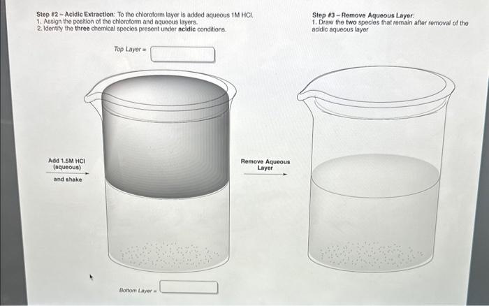 Solved Step 72 - Acidic Extraction: To the chlorolorm layer | Chegg.com