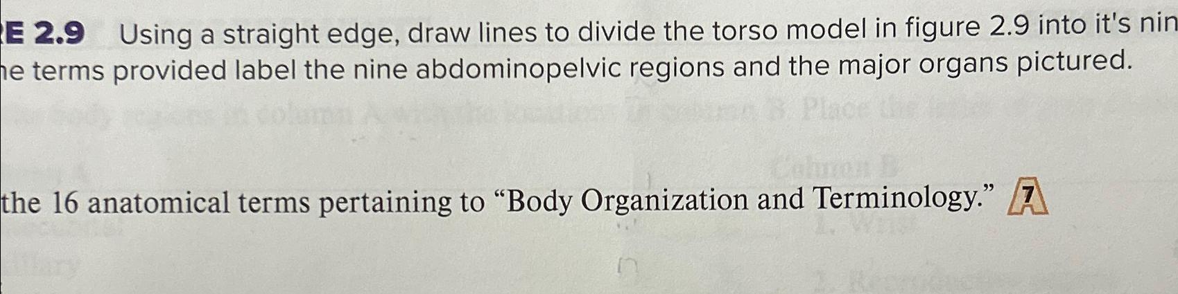 Solved E 2.9 ﻿Using a straight edge, draw lines to divide | Chegg.com