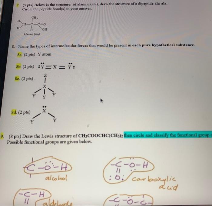 Solved 7. (5 pts) Below is the structure of alanine (ala), | Chegg.com