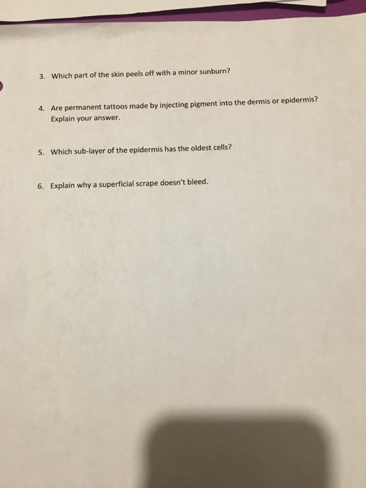Solved LAB 7 INTEGUMENTARY SYSTEM Introduction The | Chegg.com