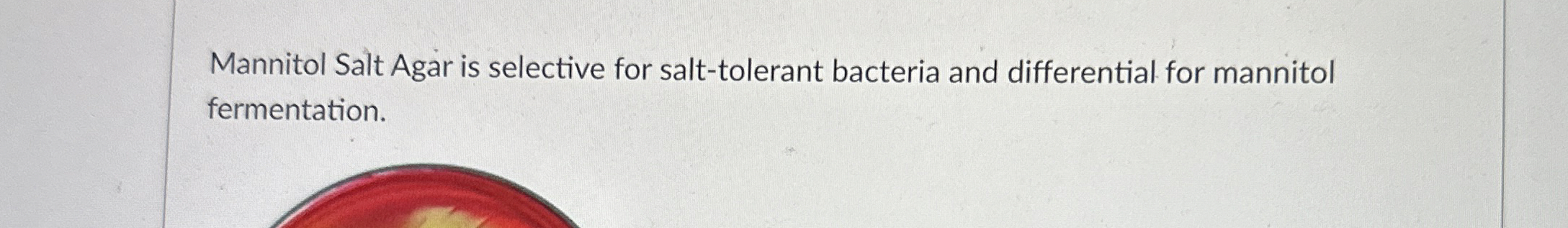 Solved Mannitol Salt Agar is selective for salt-tolerant | Chegg.com