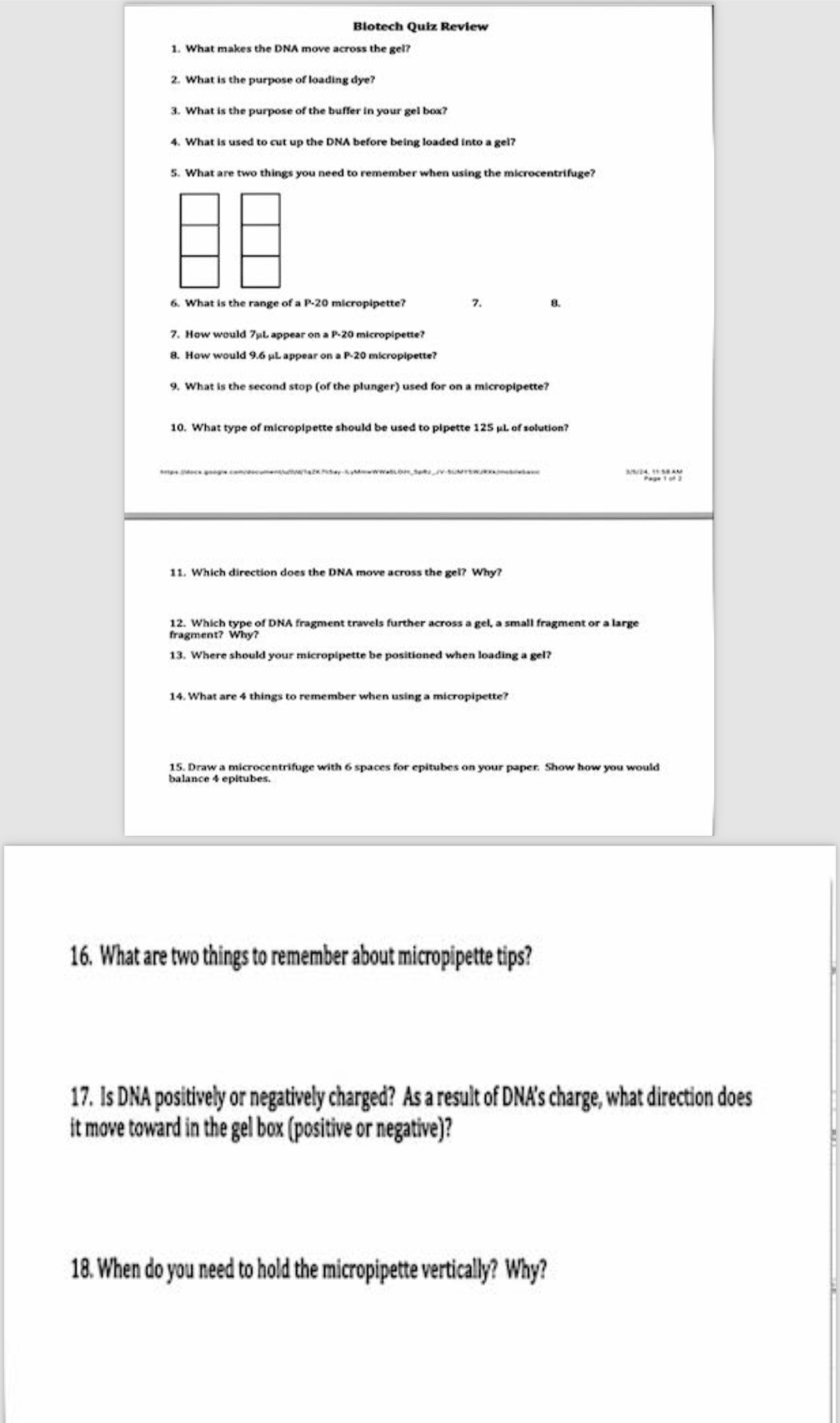 Blotech Quix ReviewWhat makes the DNA move across the | Chegg.com