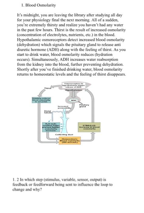Solved 1. Blood Osmolarity It's midnight, you are leaving | Chegg.com