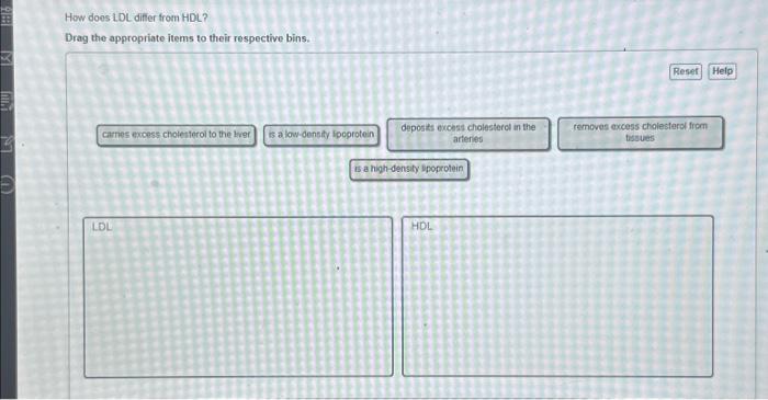 Solved How does LDL differ from HDL? Drag the appropriate | Chegg.com