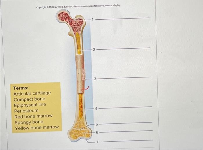 Solved Copyright O MoGraw-Hal Education. Permission required | Chegg.com