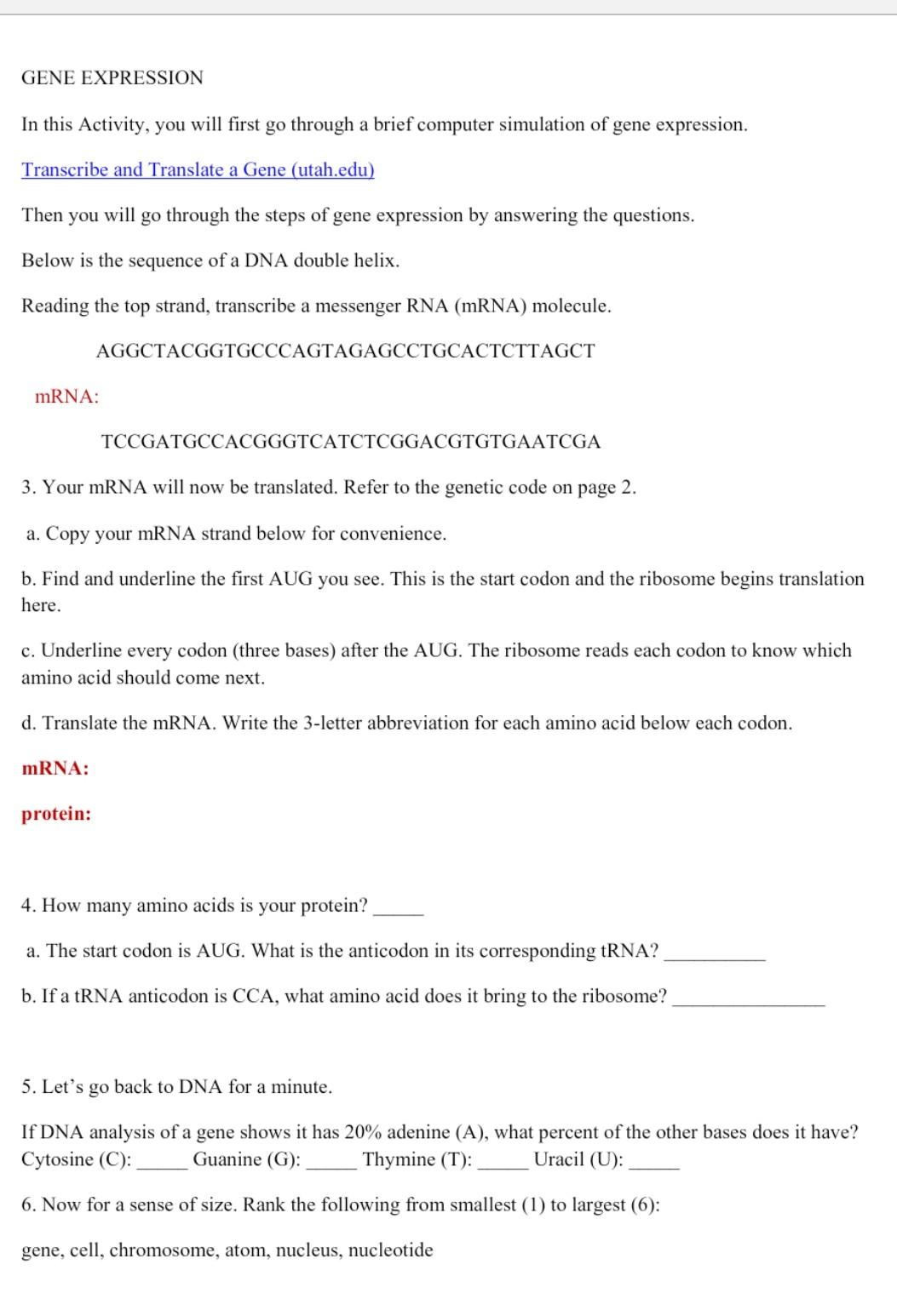 Solved GENE EXPRESSION In this Activity, you will first go | Chegg.com