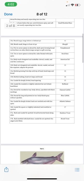 Solved Name Class Using and Making a Biological Key - Answer | Chegg.com