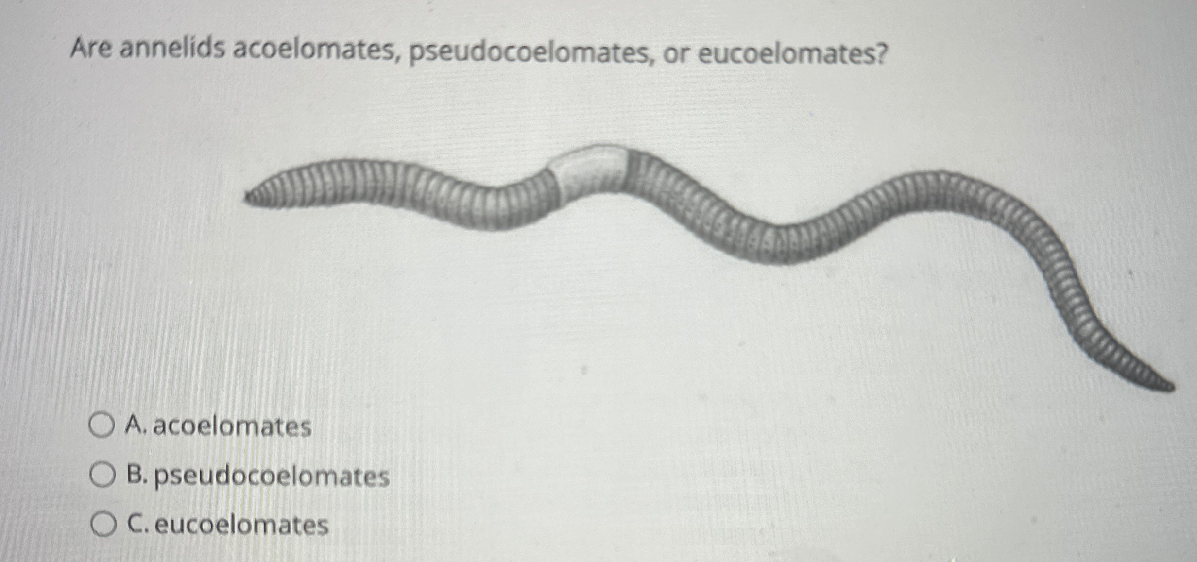 Solved Are annelids acoelomates, pseudocoelomates, or | Chegg.com