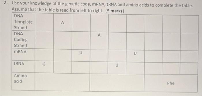 Solved 2. Use your knowledge of the genetic code, mRNA, RNA | Chegg.com