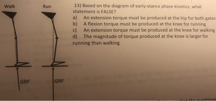 Solved Walk Run 13) Based on the diagram of early-stance | Chegg.com