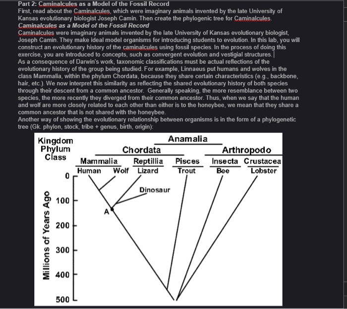 Solved Construct a Phylogenetic Tree for the Caminalcules 1. | Chegg.com