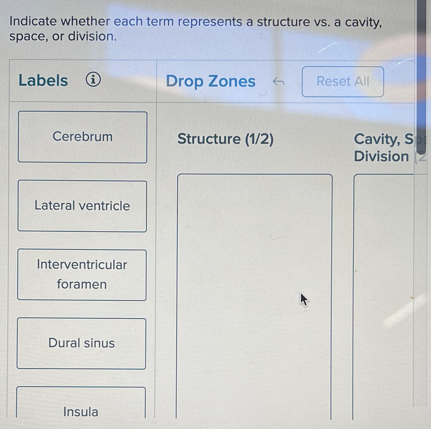 Solved Indicate whether each term represents a structure vs. | Chegg.com Solved Indicate whether each term represents a structure vs. | Chegg.com