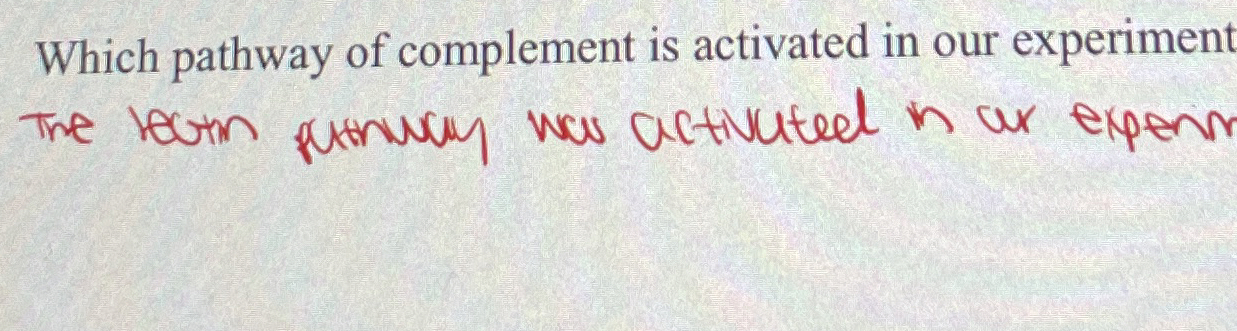 Solved Which pathway of complement is activated in our | Chegg.com