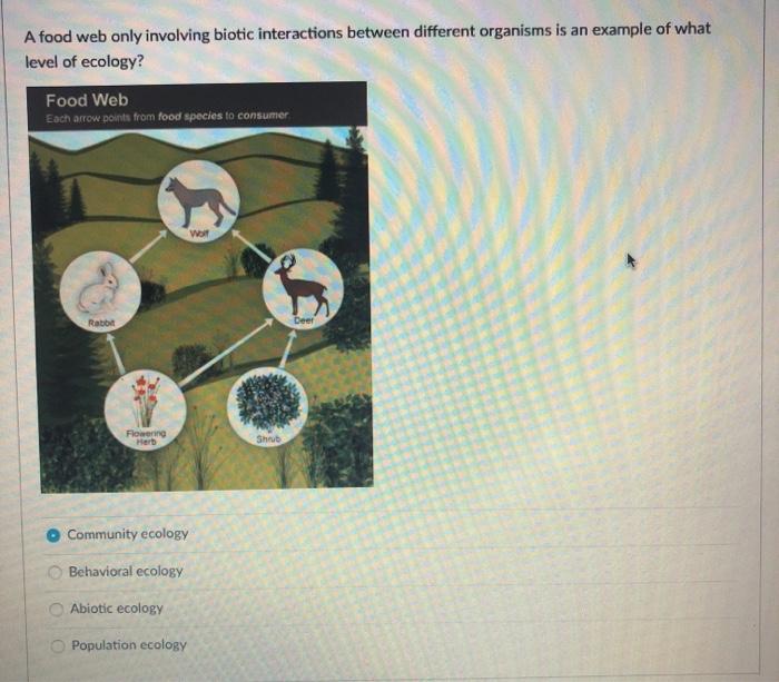 Solved A food web only involving biotic interactions between | Chegg.com