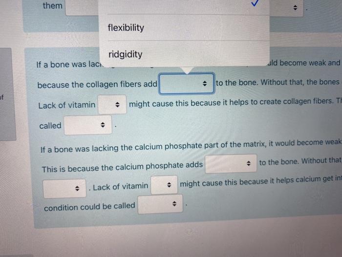 Solved 수 This is If a bone was lacking the collagen fiber | Chegg.com