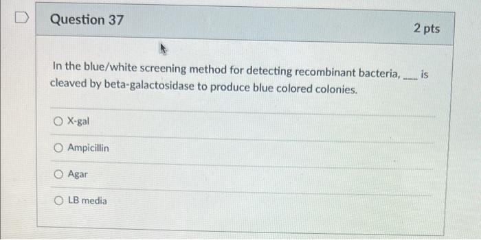 Solved Question 37 2 pts In the blue/white screening method | Chegg.com
