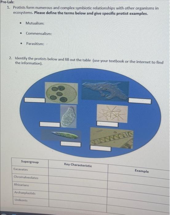 Solved Pre-Lab: 1. Protists form numerous and complex | Chegg.com