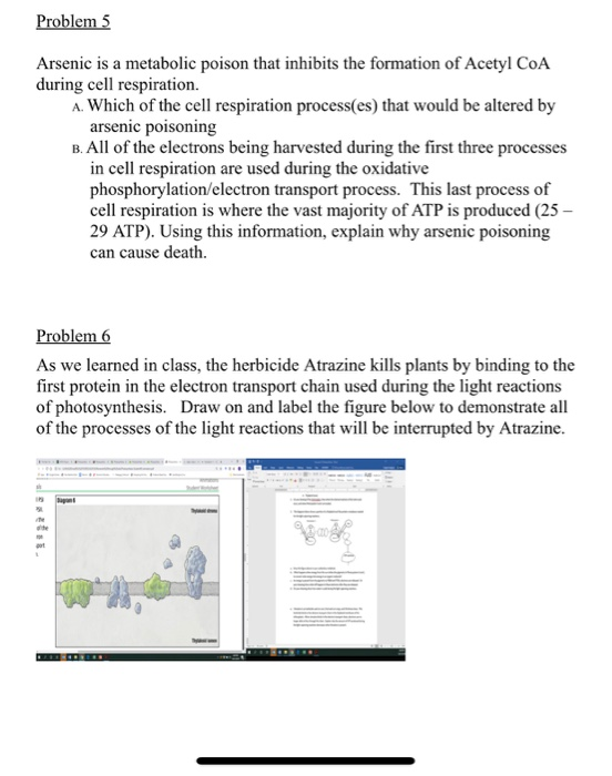 Solved Problem 5 Arsenic is a metabolic poison that inhibits | Chegg.com
