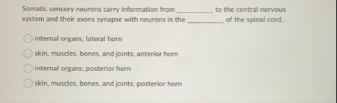 Solved Somatic sensory neurons carry information from q, ﻿to | Chegg.com