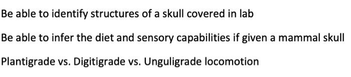 Solved Be able to identify structures of a skull covered in | Chegg.com