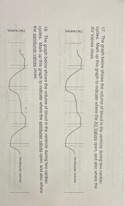 Solved 17. The graph below shows the volume of blood in the | Chegg.com