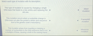 Solved Match each type of mutation with its description.This | Chegg.com