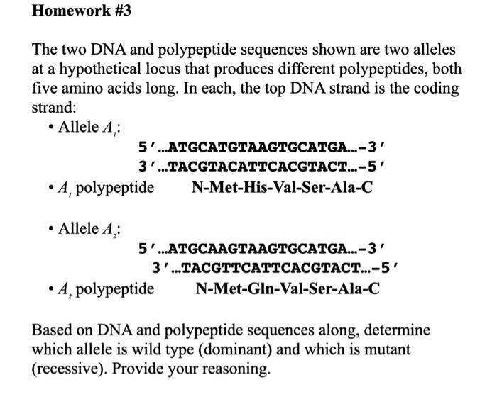 Solved The two DNA and polypeptide sequences shown are two | Chegg.com