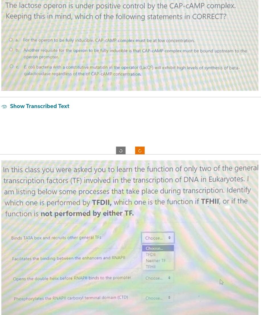 Solved The lactose operon is under positive control by the | Chegg.com