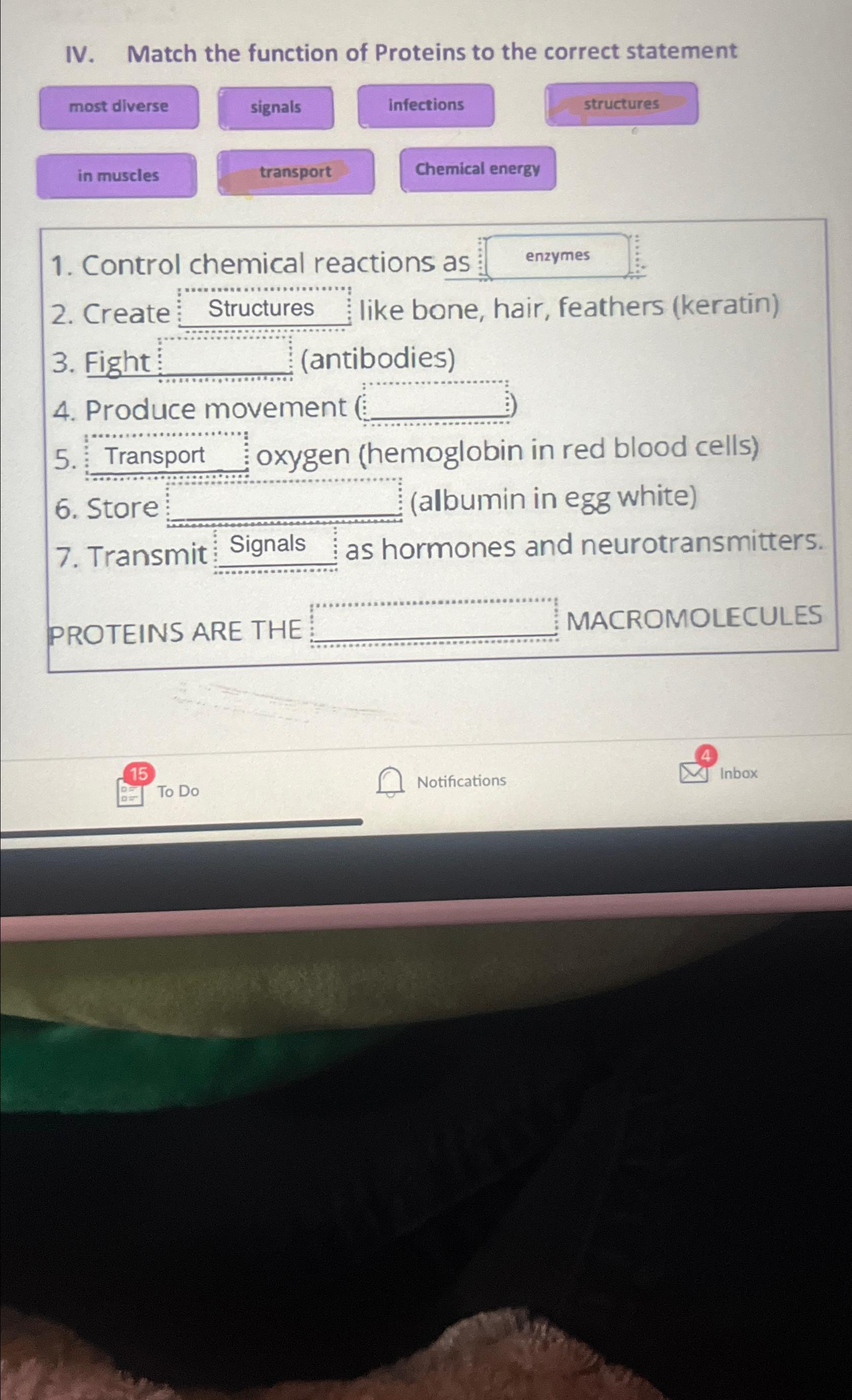 Solved IV. ﻿Match the function of Proteins to the correct | Chegg.com