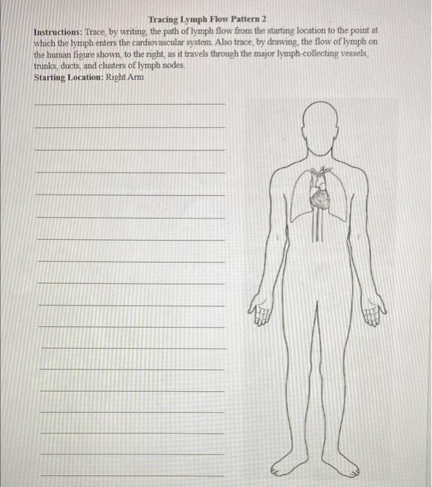 Solved Tracing Lymph Flow Pattern 1 by writing the atarting | Chegg.com