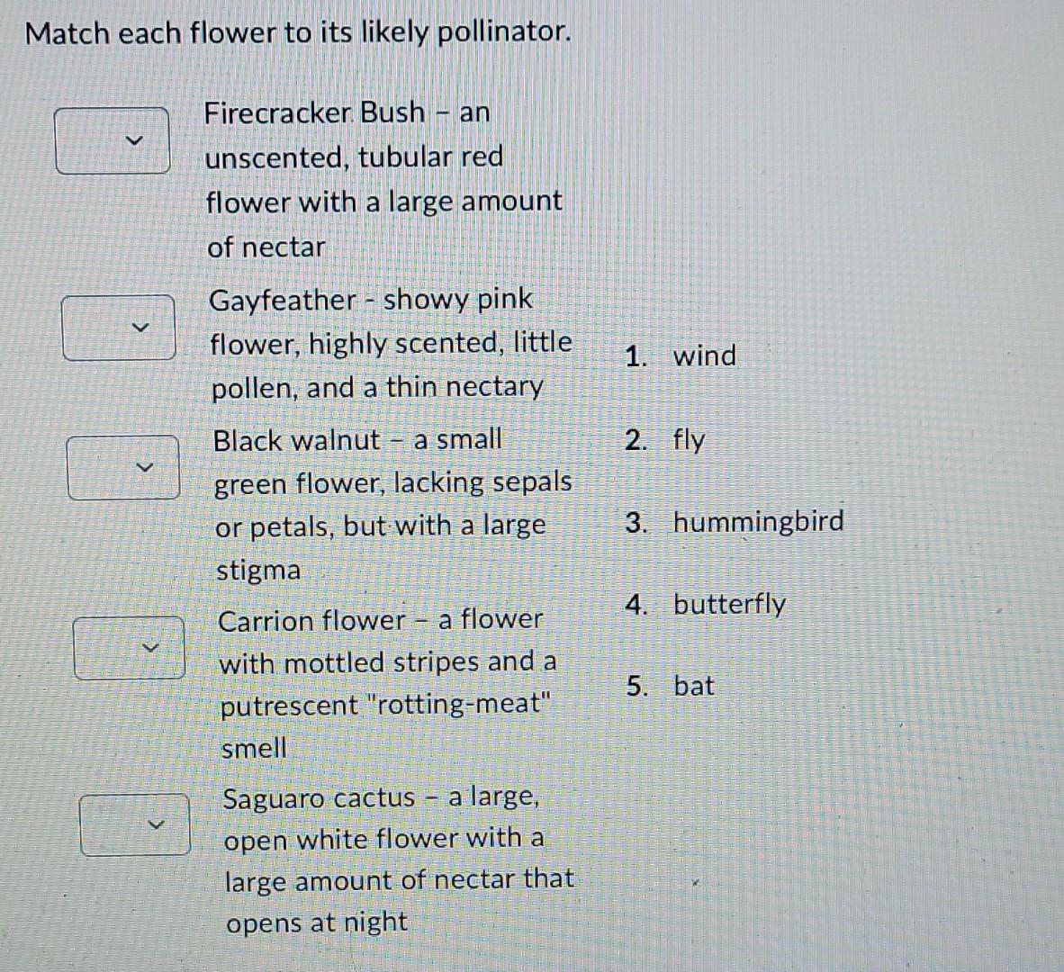 Solved Match each flower to its likely pollinator. | Chegg.com
