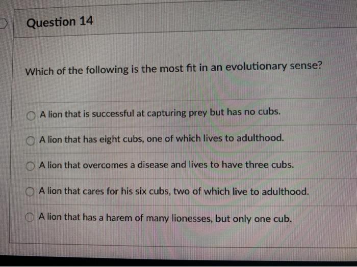 Solved 2 pt Question 11 A genetic mutation causes a rabbit | Chegg.com