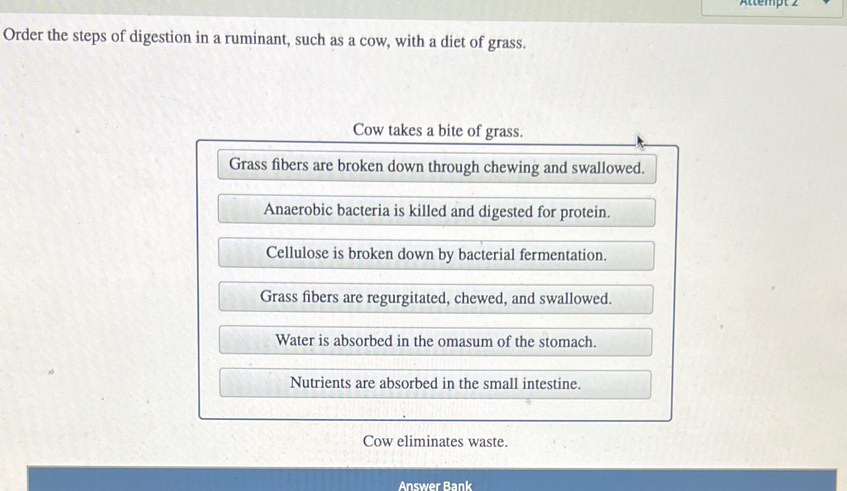 Solved Order the steps of digestion in a ruminant, such as a | Chegg.com