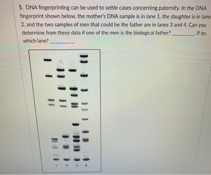 Solved 5. DNA fingerprinting can be used to settle cases | Chegg.com