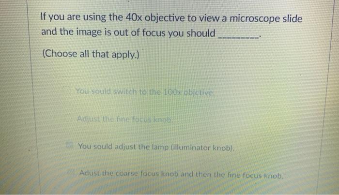Solved If you are using the 40x objective to view a | Chegg.com