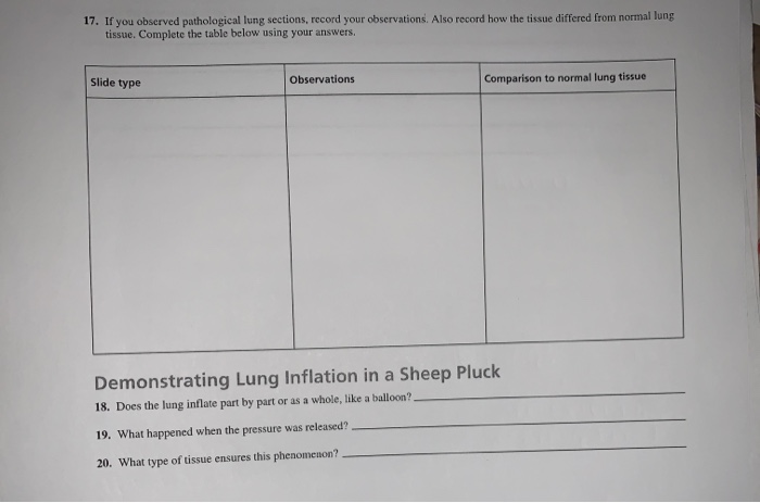 Solved 17. If you observed pathological lung sections, | Chegg.com