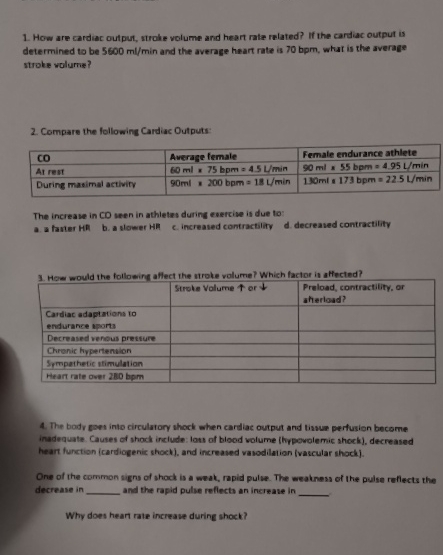 Solved How Are Cardiac Output Stroke Volume And Heart Rate