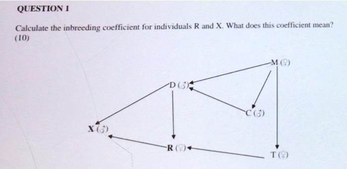 QUESTION 1 Calculate the inbreeding coefficient for | Chegg.com