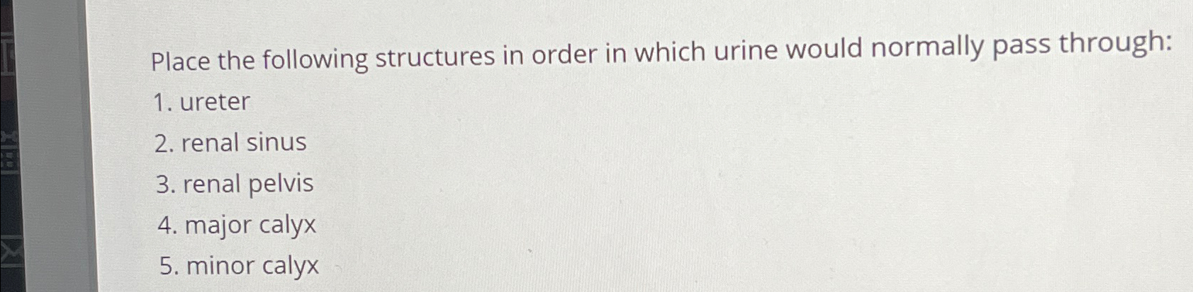 Solved Place the following structures in order in which | Chegg.com