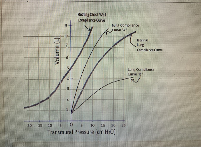 Solved Resting Chest Wall Compliance Curve Lung Compliance | Chegg.com