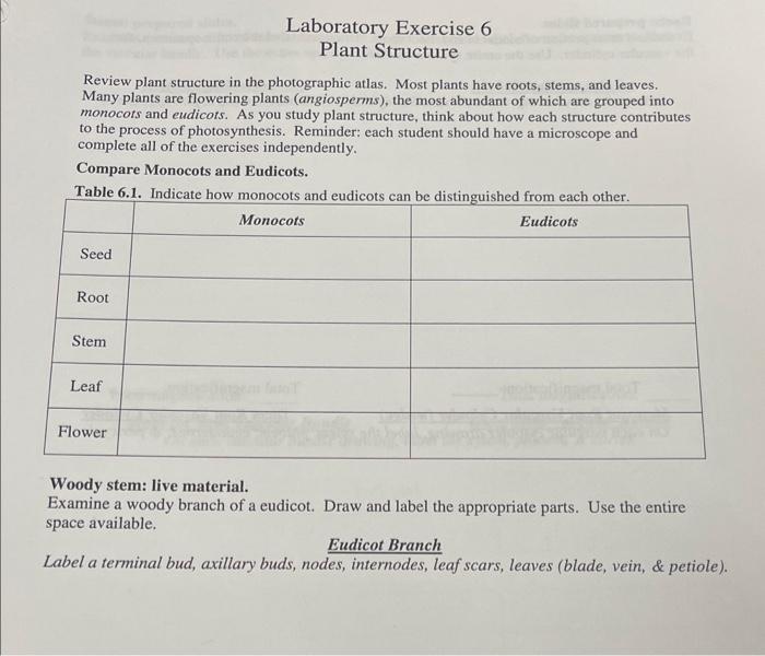 Solved Plant Structure Review plant structure in the | Chegg.com