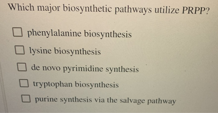 Solved Which major biosynthetic pathways utilize PRPP? | Chegg.com
