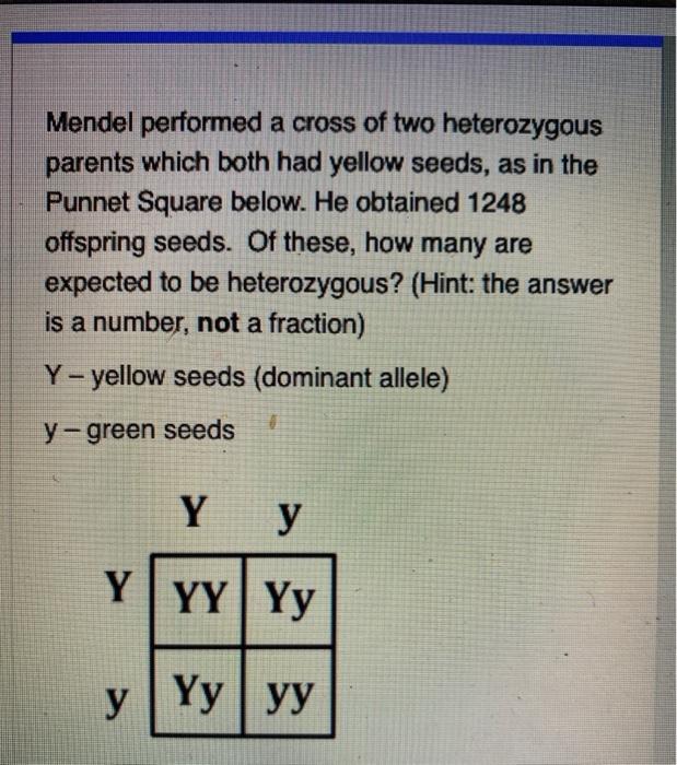Solved Mendel performed a cross of two heterozygous parents | Chegg.com
