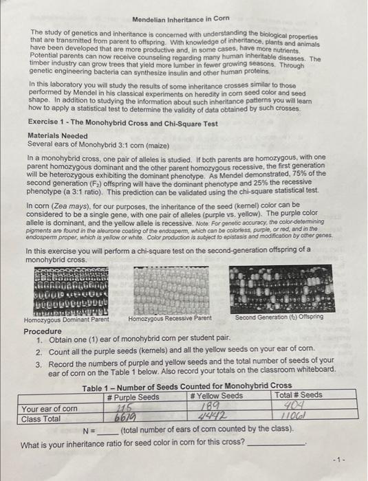 Mendelian Inheritance in Corn The study of genetics | Chegg.com