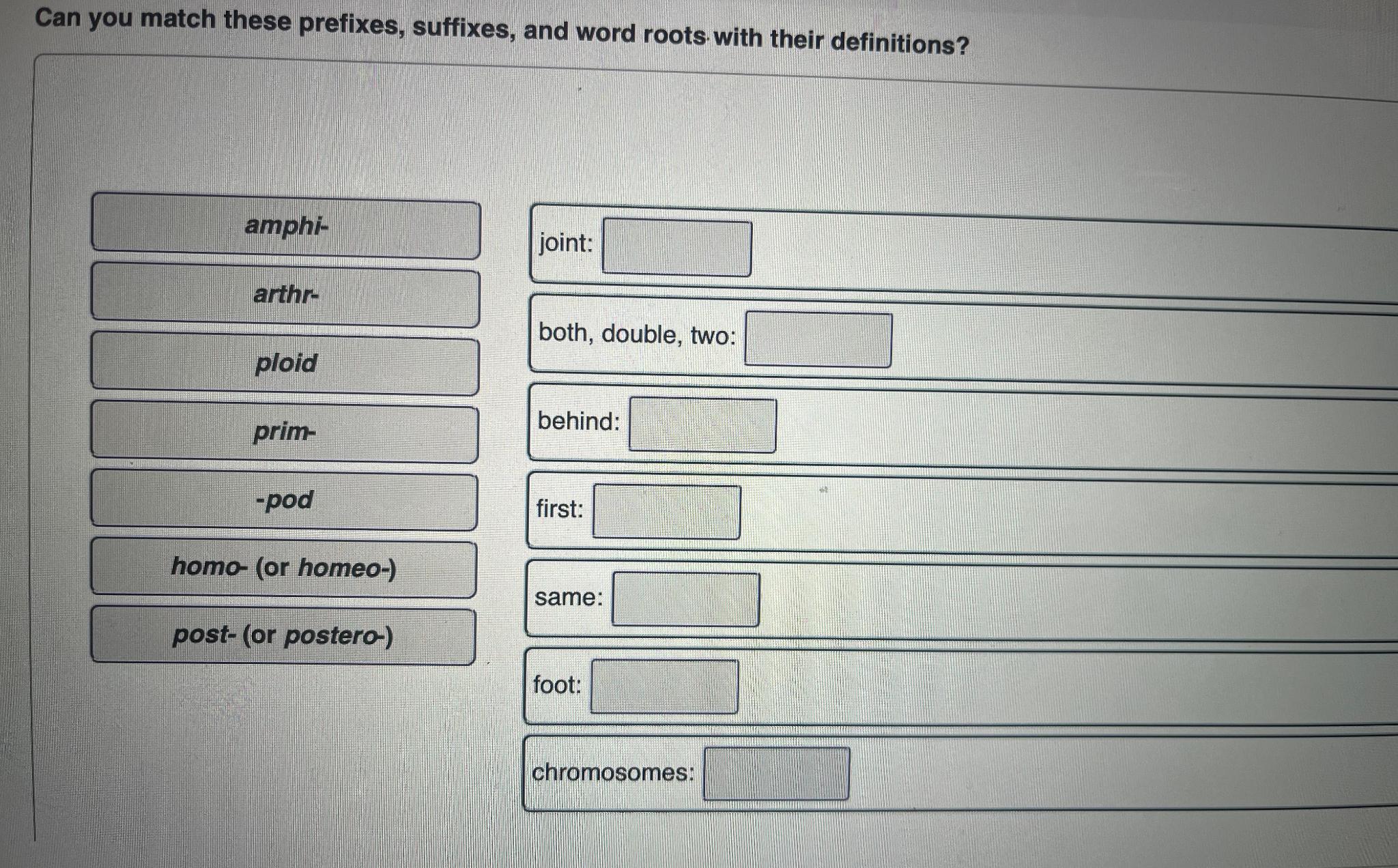 Solved Can you match these prefixes, suffixes, and word | Chegg.com