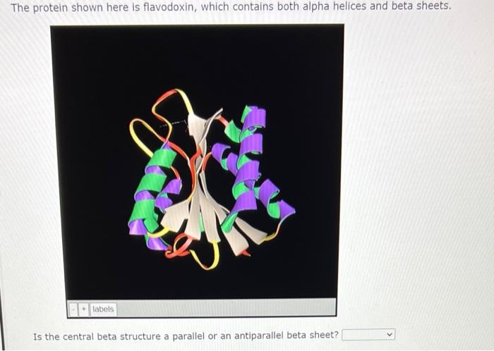 Solved The protein shown here is subtilisin inhibitor, which | Chegg.com